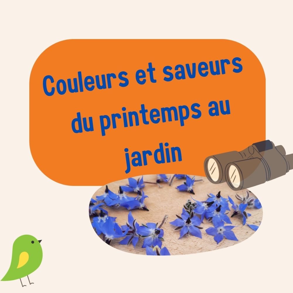 Stage printemps vignette - EKIKROK ASBL